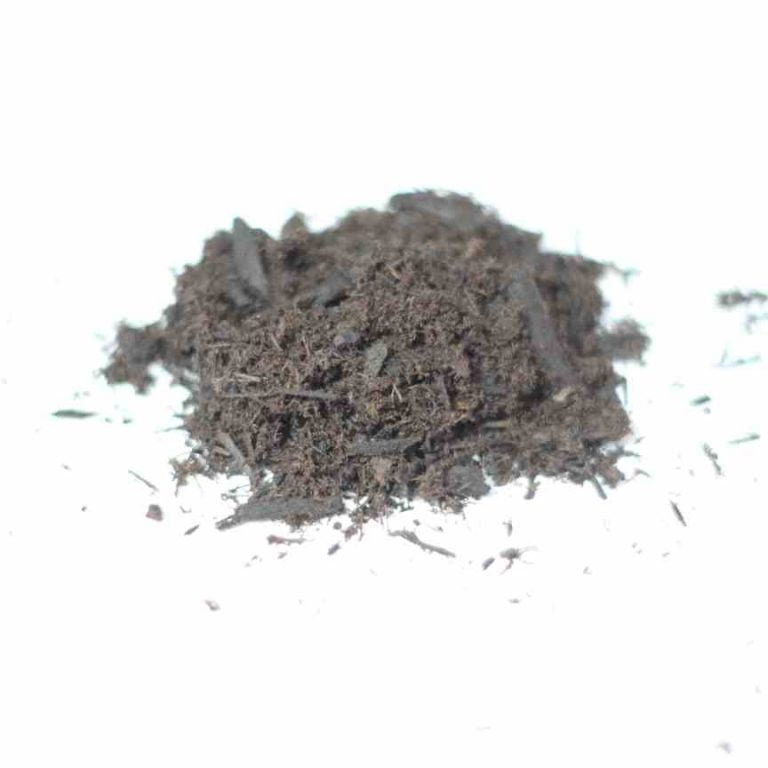 Bakhur Stand Package - Hamnah